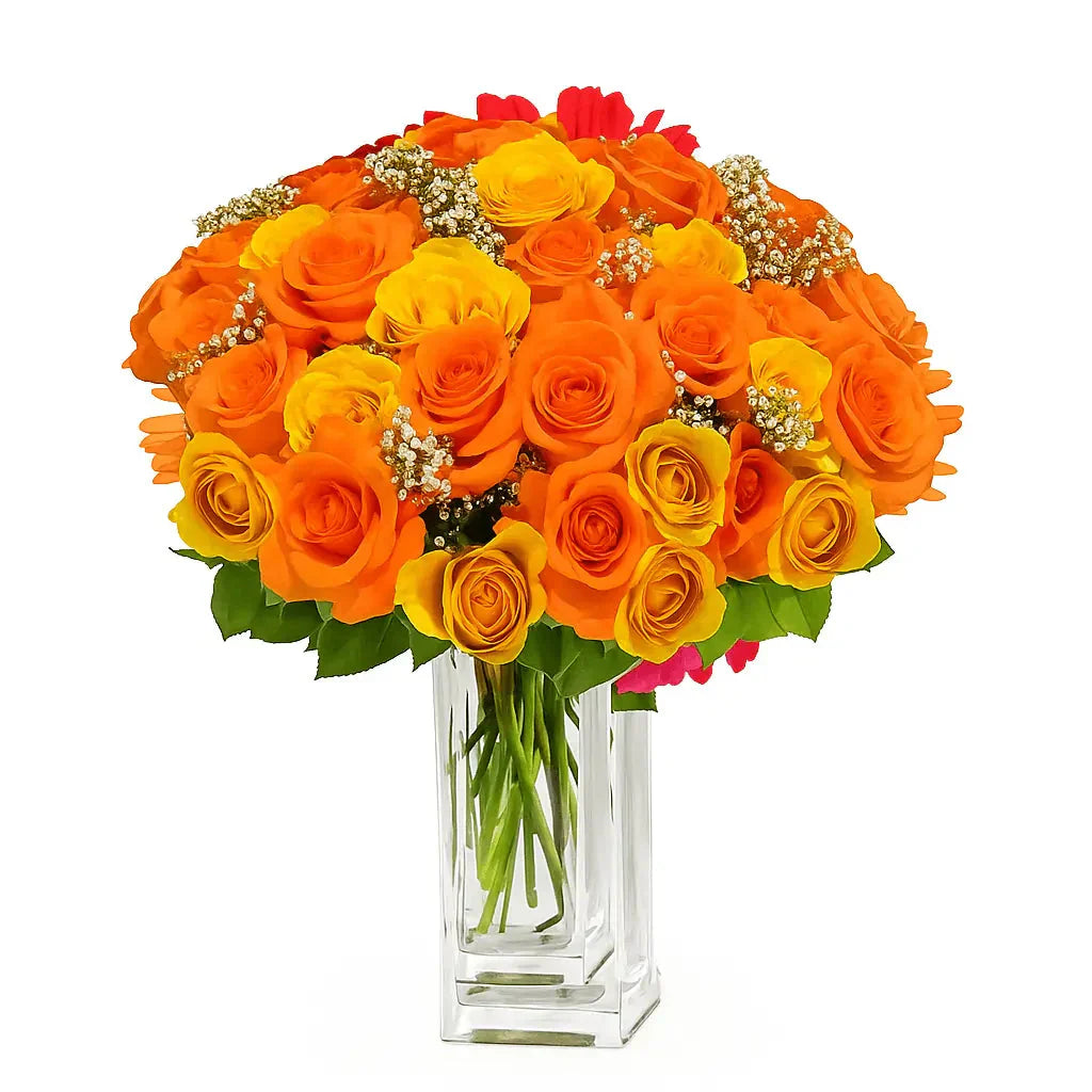 Three Dozen Long Stemmed Orange Roses | Mel's Flowers